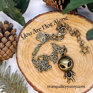Alien Necklace/abduction Alien Bronze Necklace/extra-terrestrial/you ...