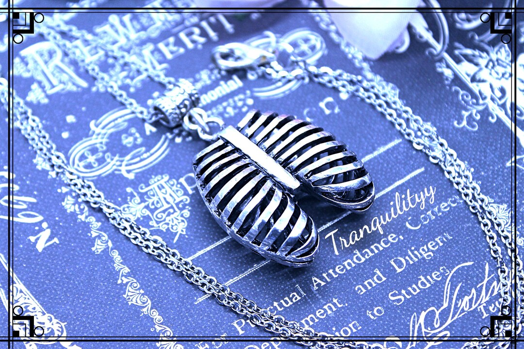 Rib Cage Necklace , 3D Rib Cage Key Chain, Respiratory Therapist Gifts ...