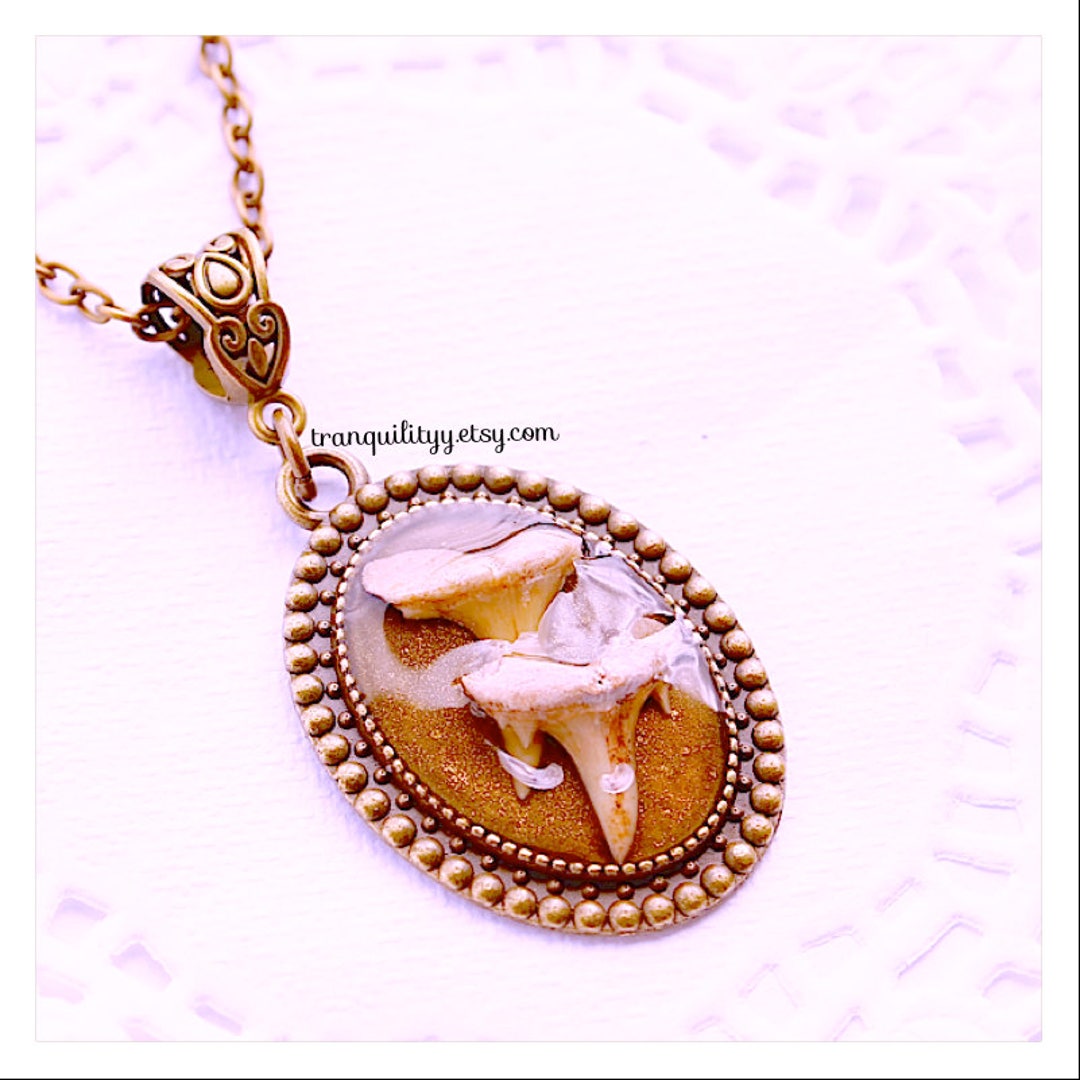 Real Shark Tooth Pendant Necklace , Protection ,natural Shark Tooth ...