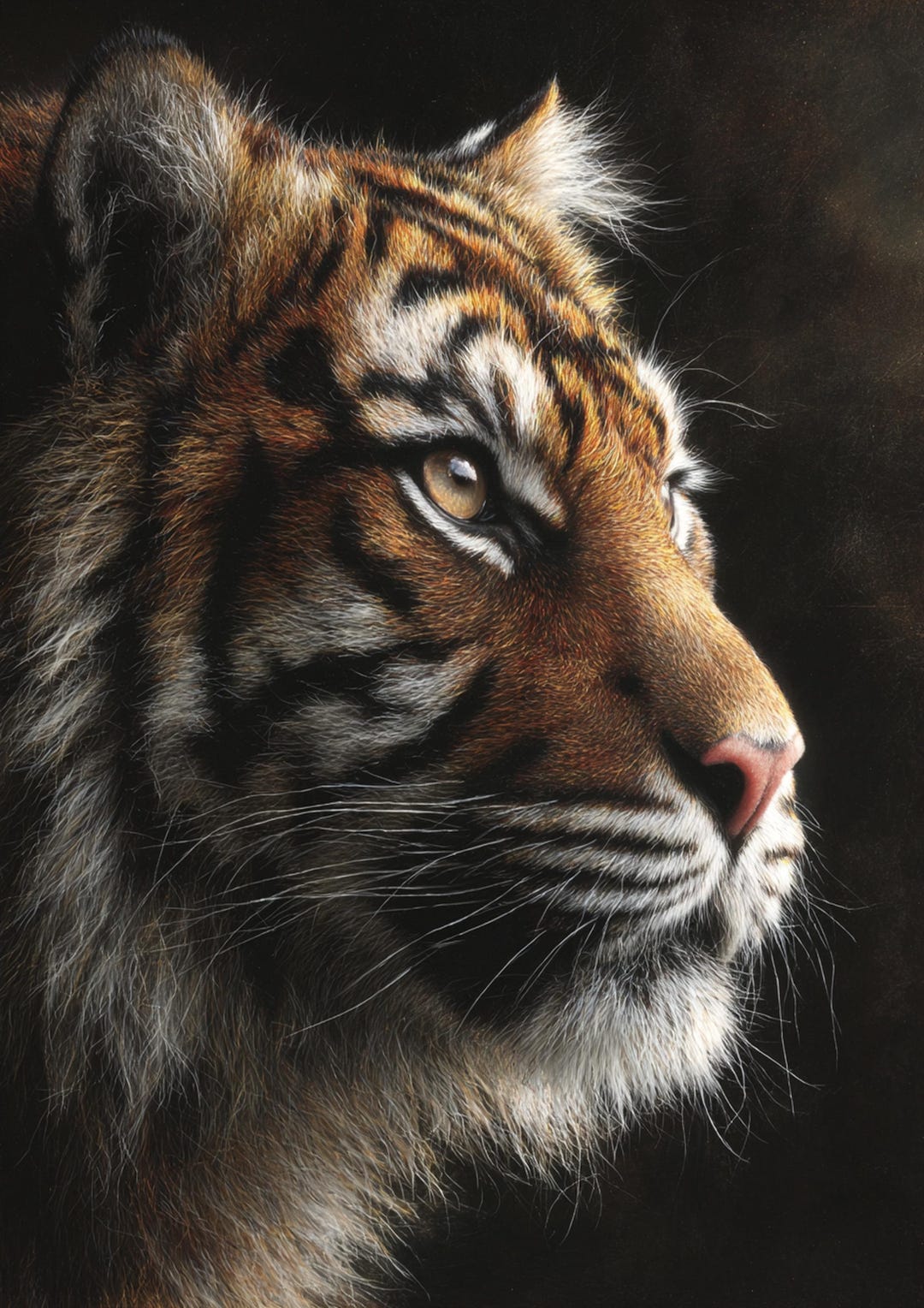 Digital Tiger Art Print Set: 5 High-quality A3 Jpgs for Printing ...
