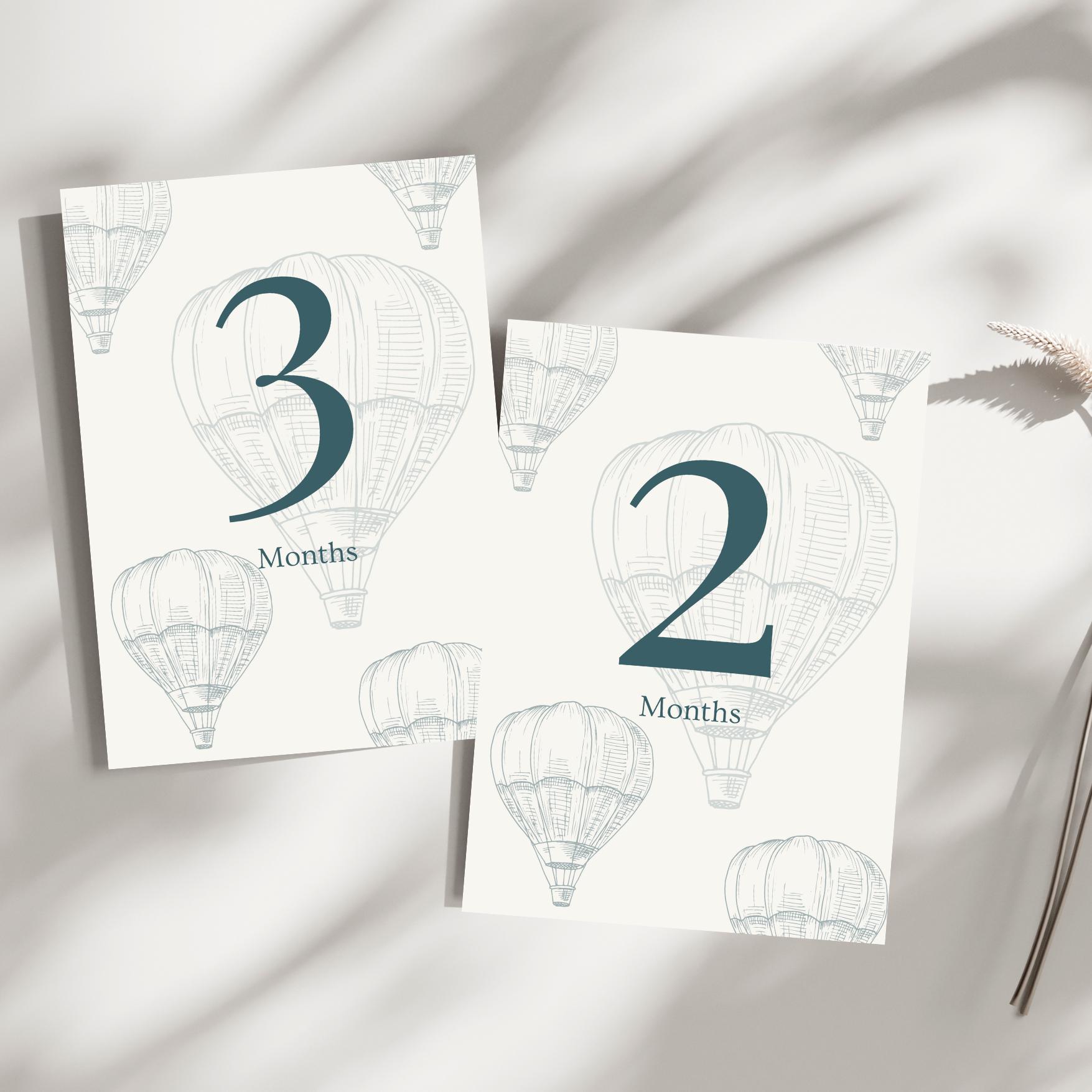 Printable Baby Milestone Cards, Hot Air Balloon Theme in Blue, Monthly ...