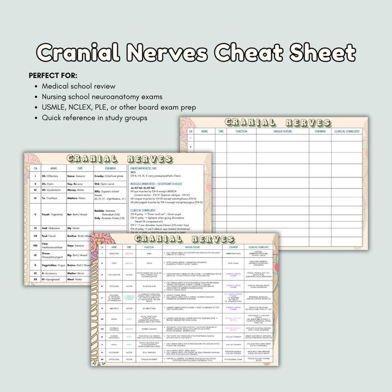 Cranial Nerve Cheat Sheet: Mnemonics, Anatomy Study Guide (PDF ...