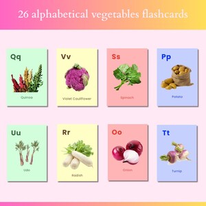 Vegetable Flashcards: Montessori Alphabet Learning Cards (printable PDF ...