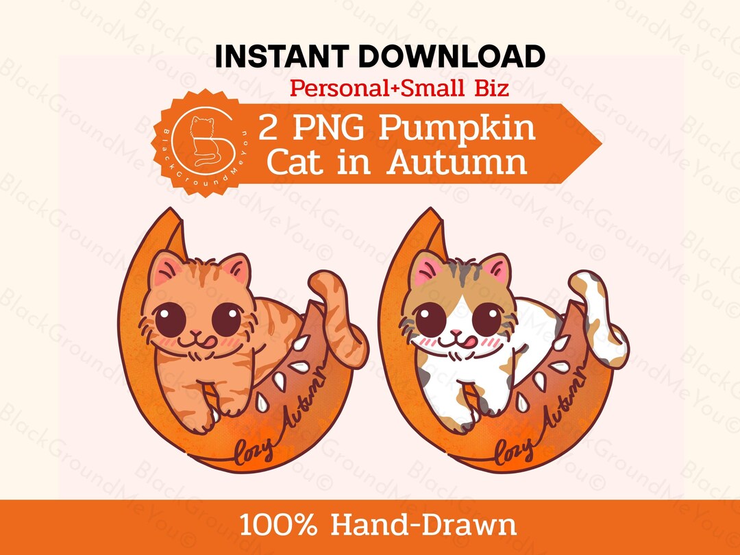 Pumpkin Cat Clipart in Autumn Fall : Hand-drawn Kawaii PNG (digital ...