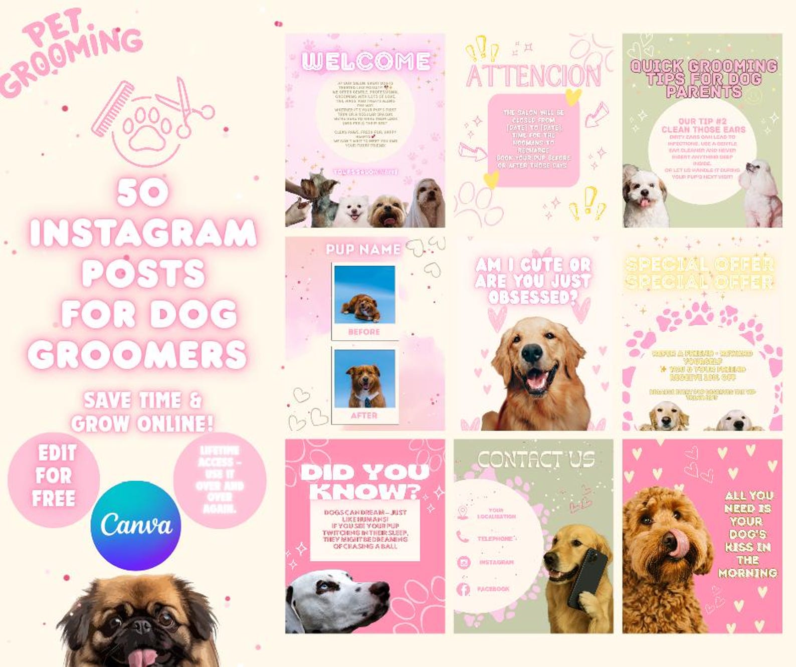 Dog Grooming Marketing Templates – 50 Instagram Canva Posts – Social ...