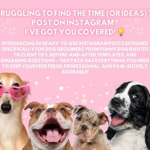 Dog Grooming Marketing Templates – 50 Instagram Canva Posts – Social ...