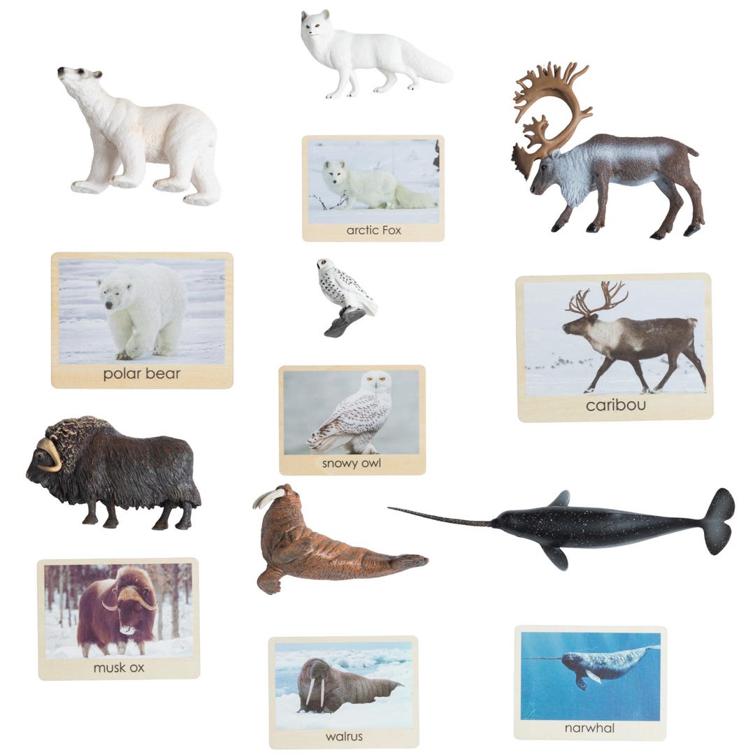 Toddler Arctic Animals Matching 7 Pcs Set | Montessori Toddler Material ...