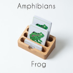 Montessori Botany Zoology Cards | 3-part Nomenclature Set - Etsy