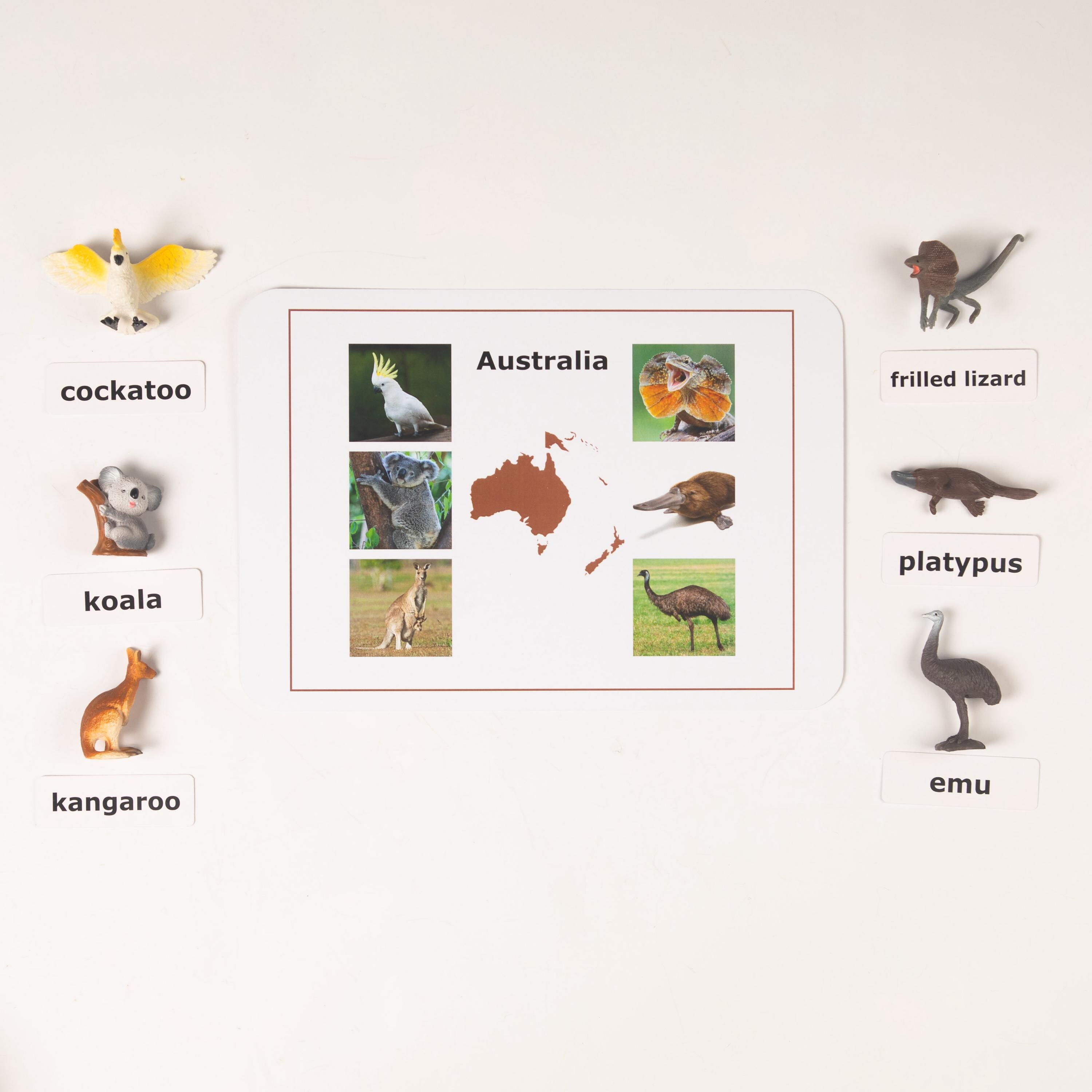 Montessori Animals of the Seven Continents - Culture and Geography ...