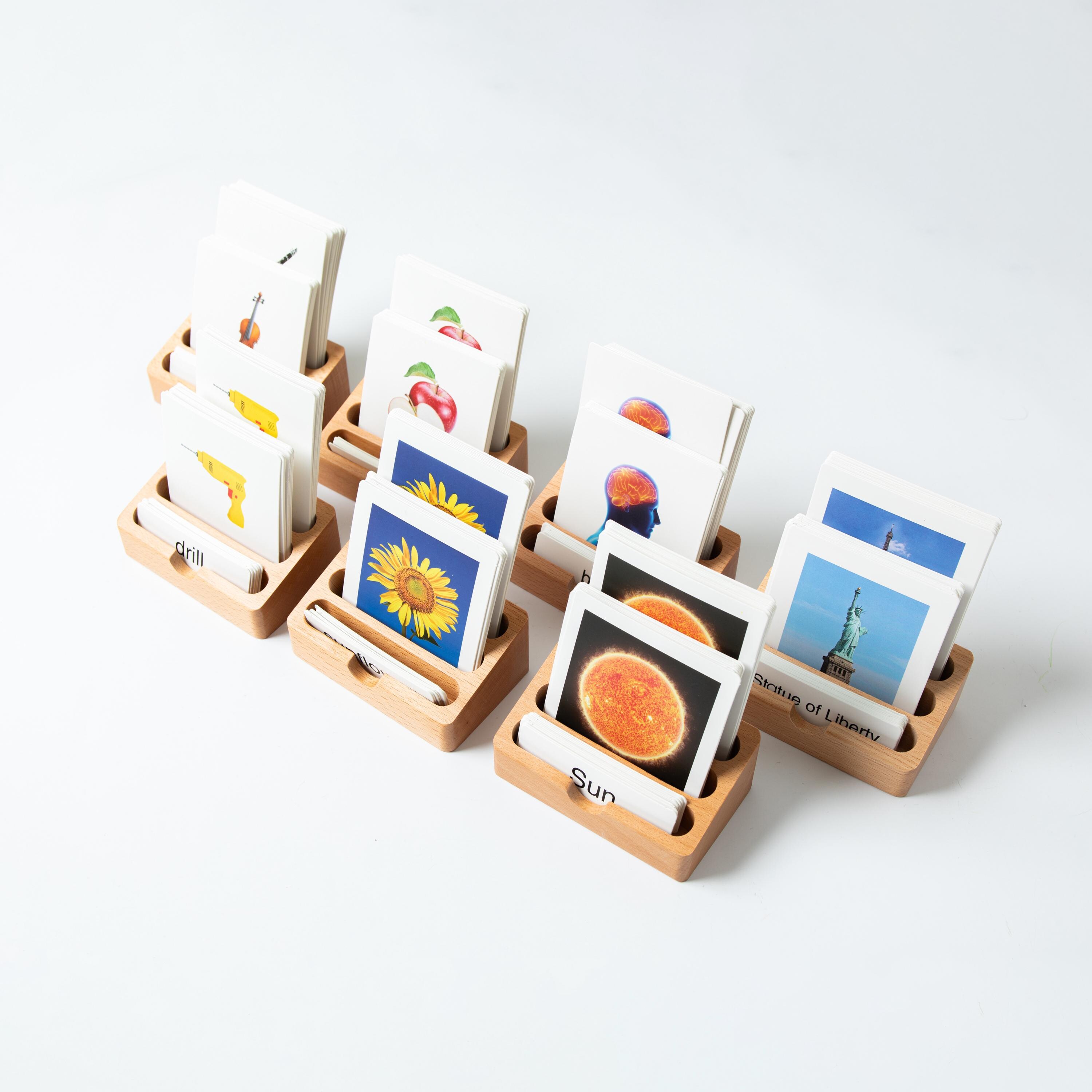 Montessori Classification Set – 3-part Nomenclature Cards (classified ...