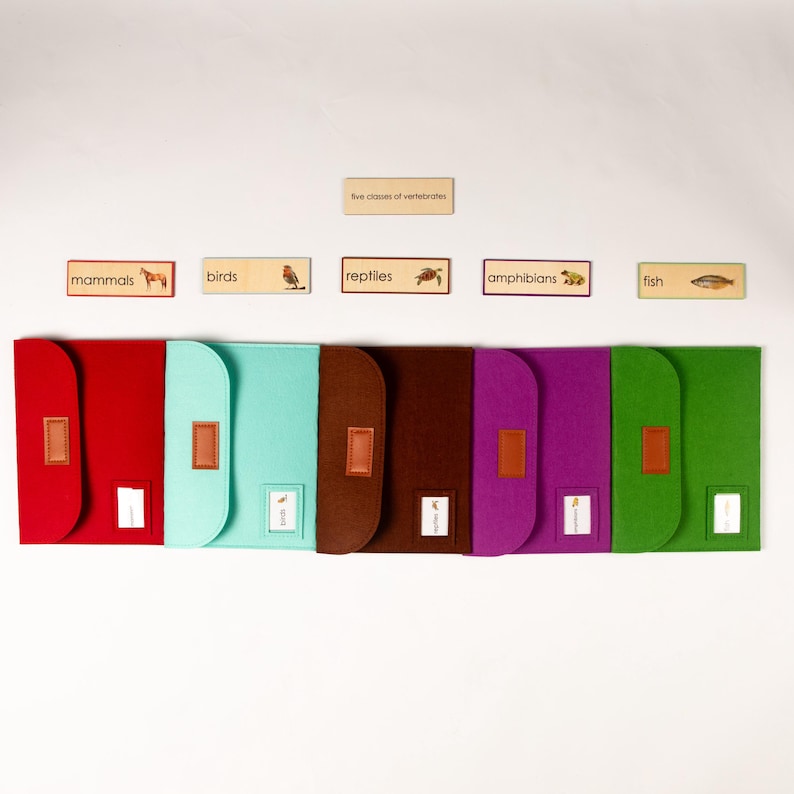 Montessori Five Classes of Vertebrates Classification Set - Zoology ...