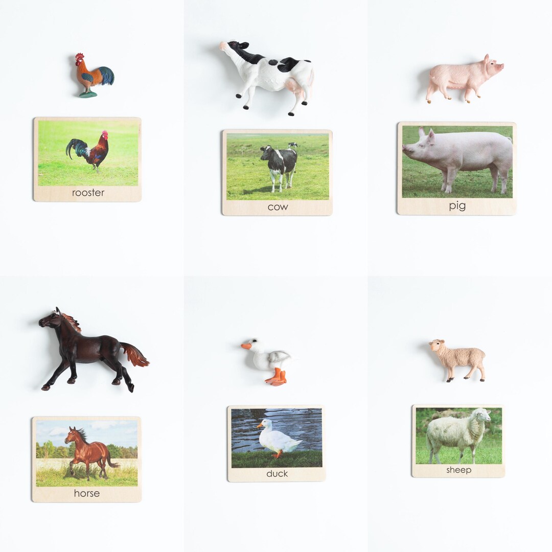 Toddler Farm Animal Matching Set | Montessori Language Learning - Etsy