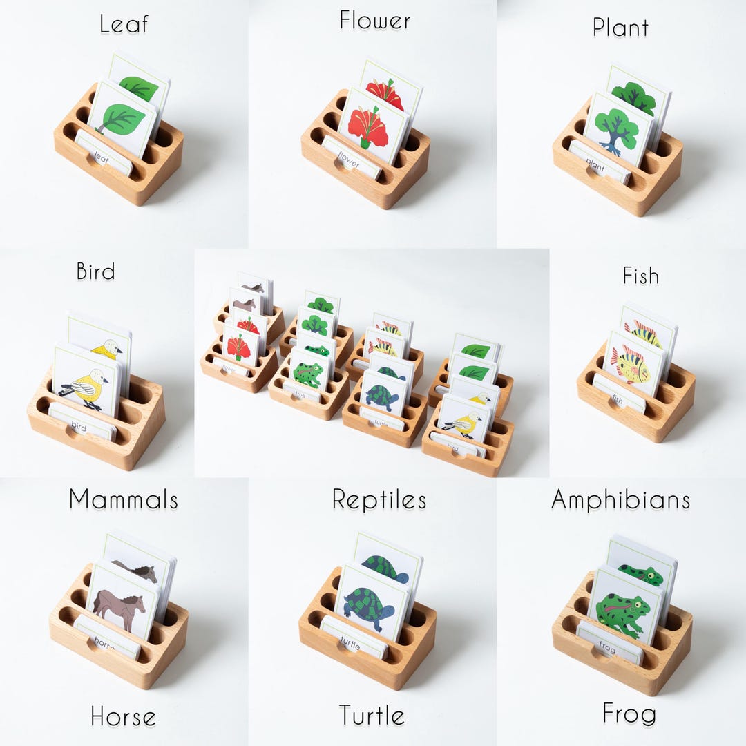 Montessori Botany Zoology Cards | 3-part Nomenclature Set - Etsy