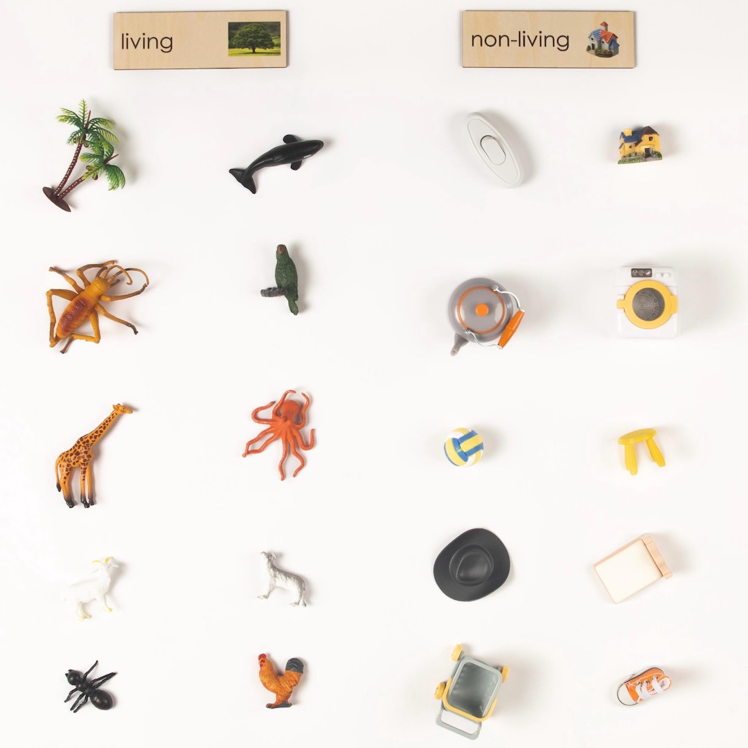 Living Vs Non-living Sorting Activity - Montessori Culture ...