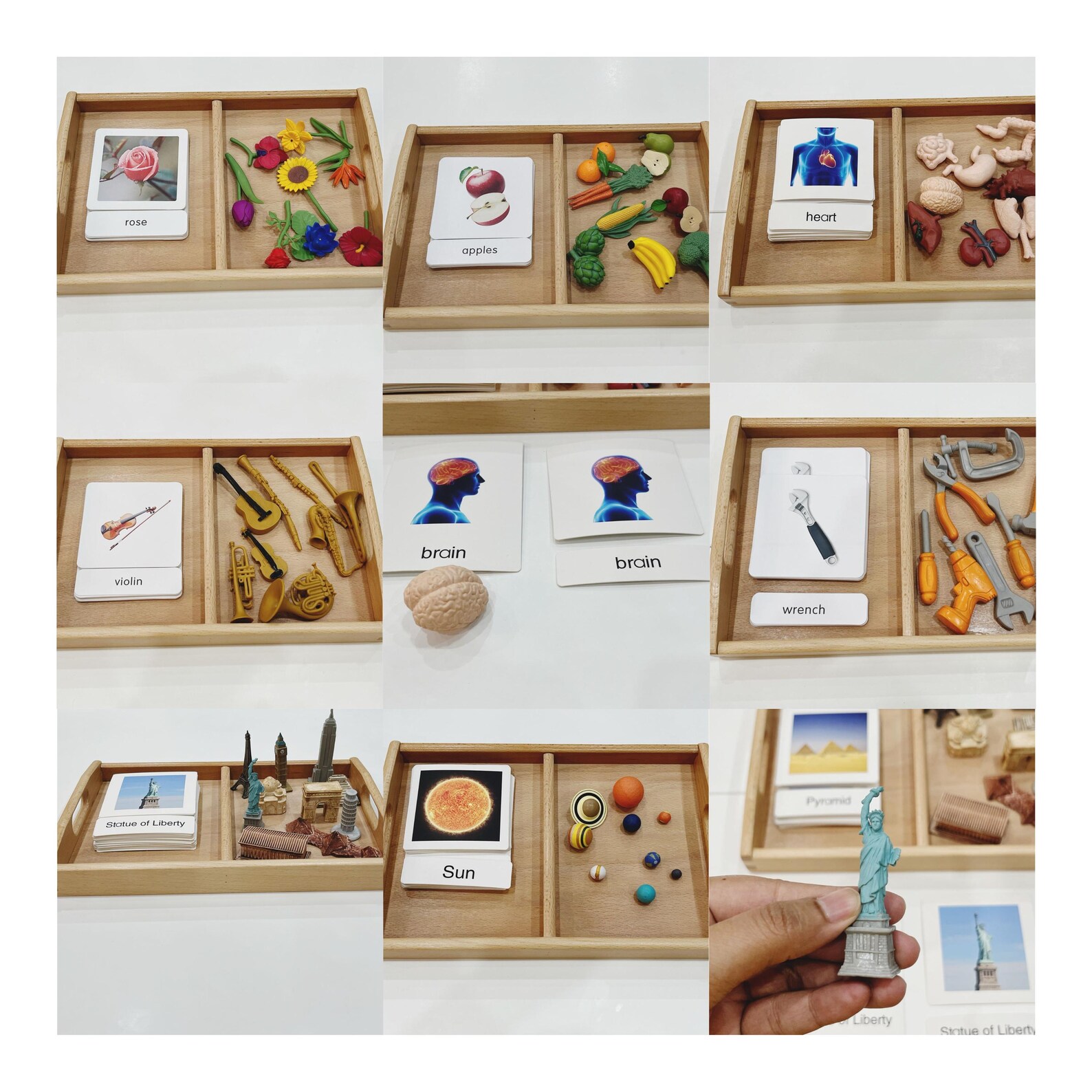 Montessori Classification Set – 3-part Nomenclature Cards (classified ...
