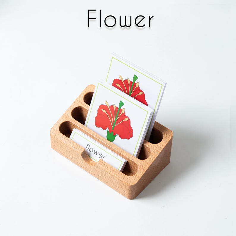 Montessori Botany Zoology Cards | 3-part Nomenclature Set - Etsy