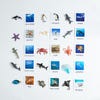 Ocean Number 1-10 Flashcards,sea Animals Number Cards,sea Animals ...