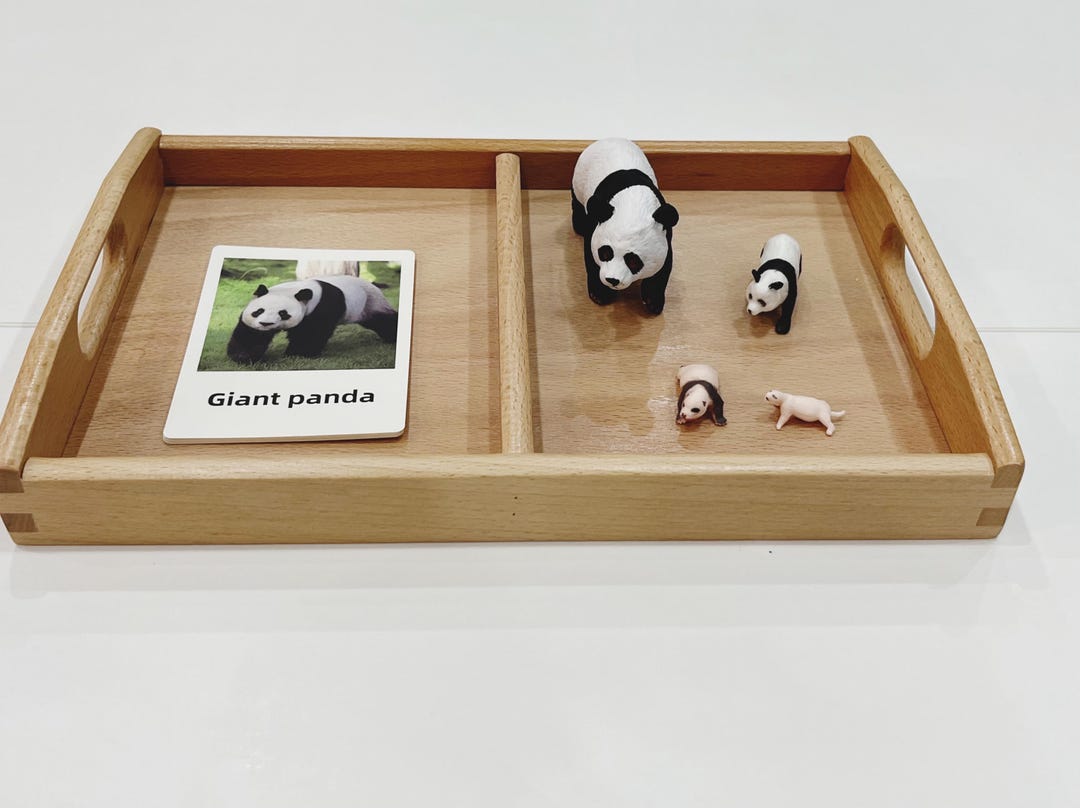 Montessori Wooden Tray With Divider – 2 Compartment Activity Tray - Etsy