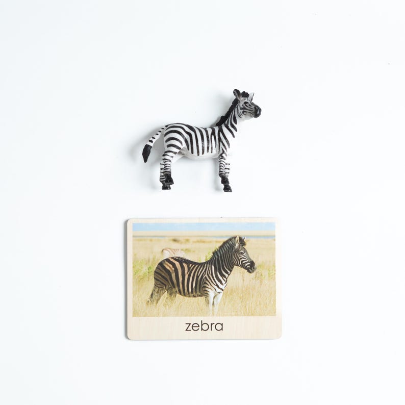 Toddler Montessori Animal Matching Set | African Savanna Figures - Etsy
