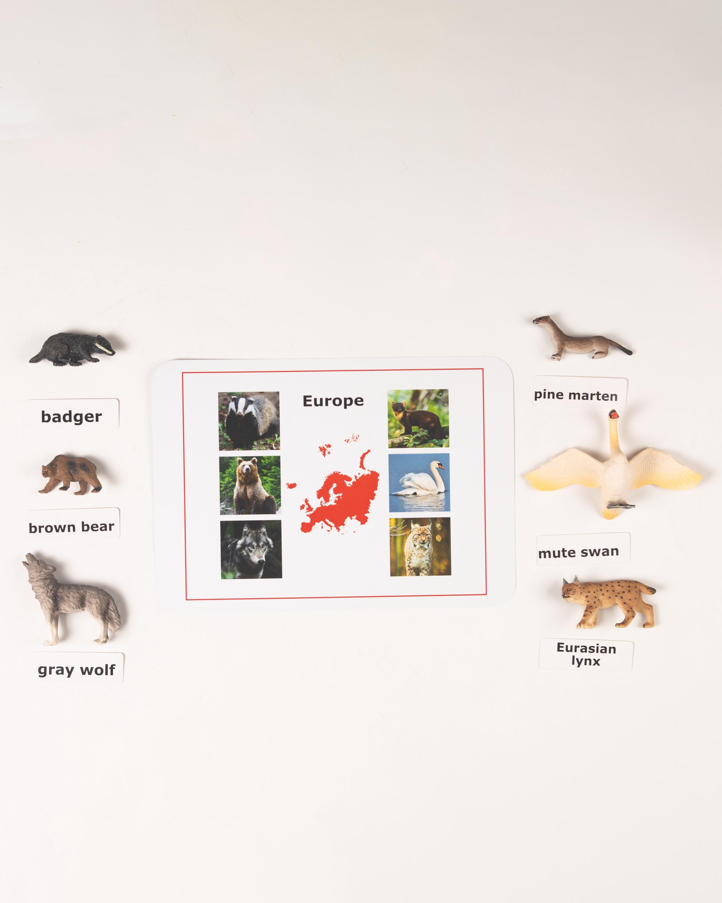 Montessori Animals of the Seven Continents - Culture and Geography ...