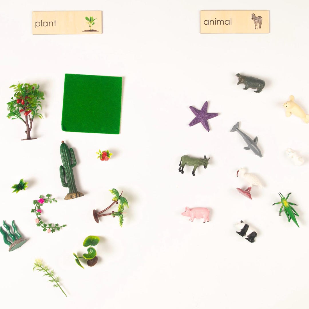 Plants Vs Animals Sorting Activity - Montessori Culture Classification ...