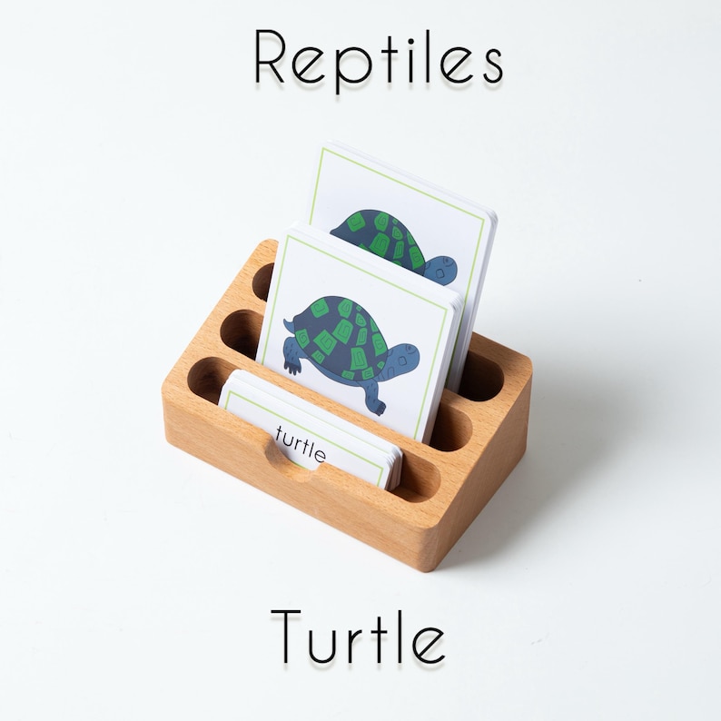 Montessori Botany Zoology Cards | 3-part Nomenclature Set - Etsy