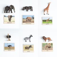 African Animals Montessori 3 Part Cards - Etsy