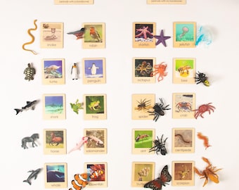 Montessori Vertebrates and Invertebrates Classification Set - Zoology ...
