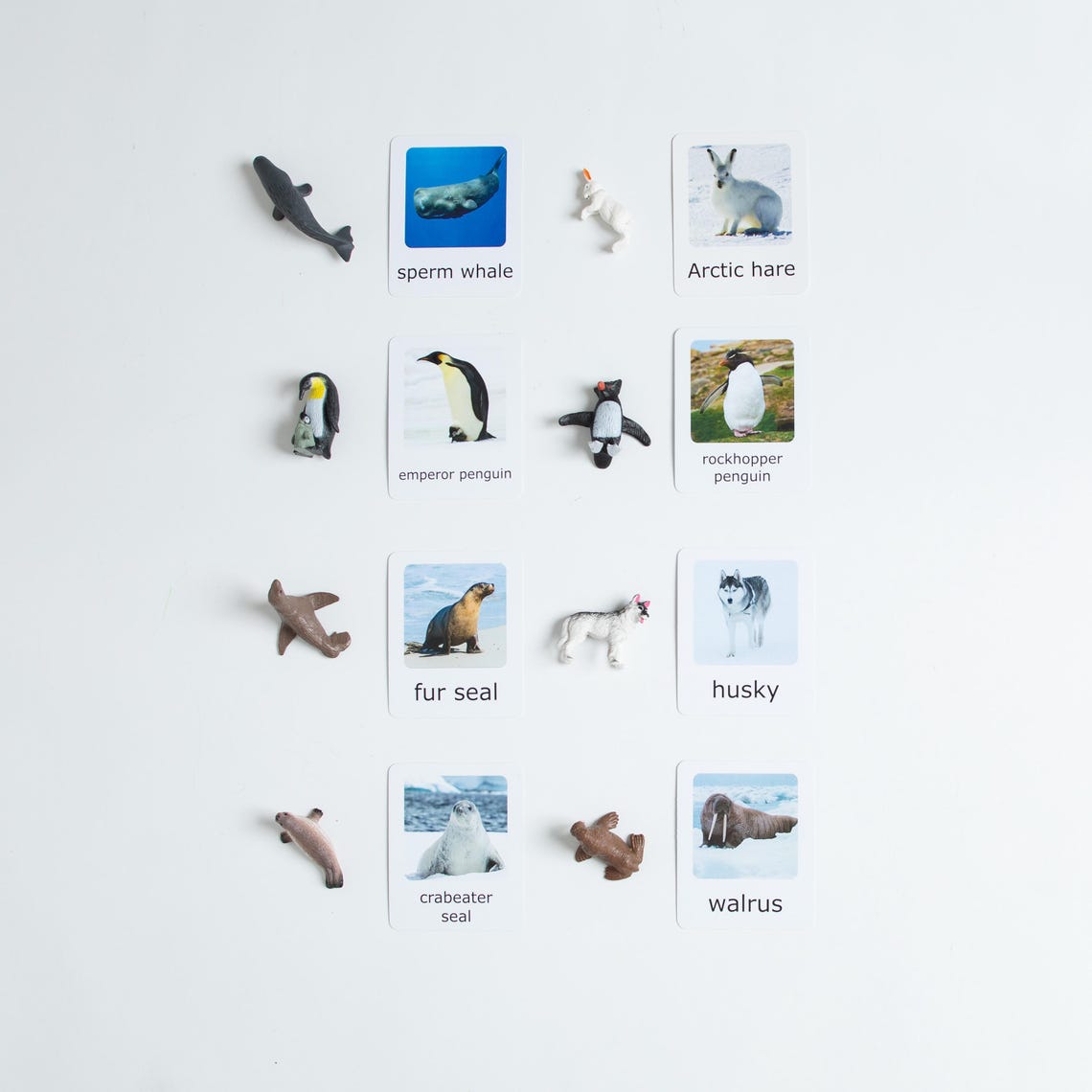 Montessori Arctic and Antarctic Animals Matching Set - Polar Animals ...