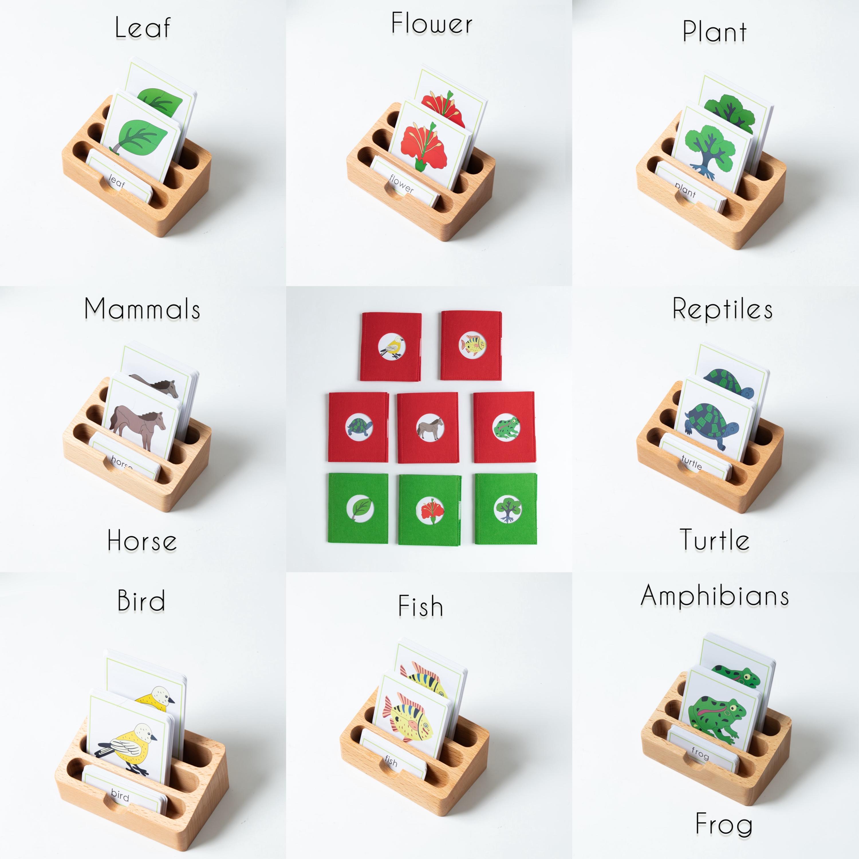 Montessori Botany Zoology Cards | 3-part Nomenclature Set - Etsy