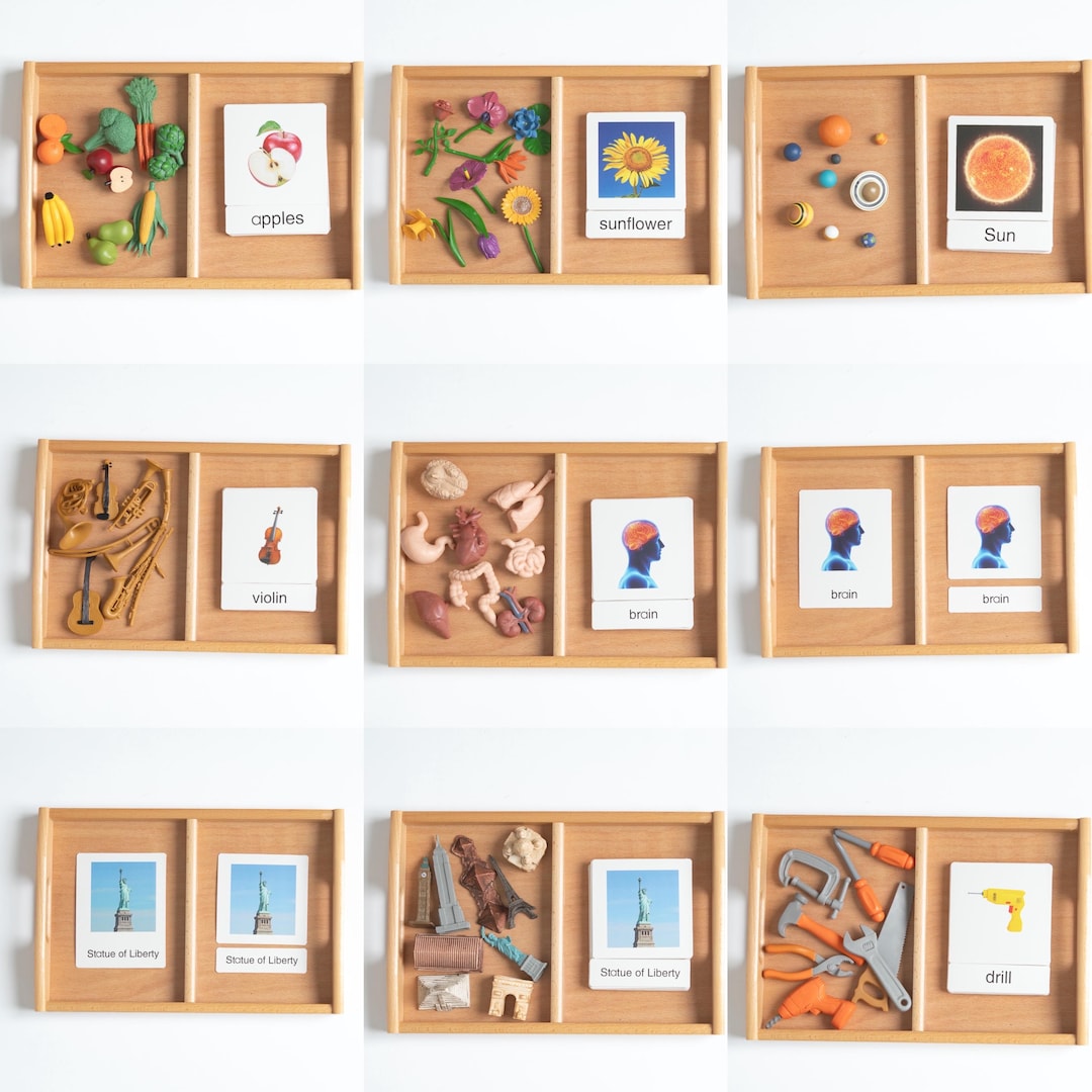 Montessori Classification Set – 3-part Nomenclature Cards (classified ...