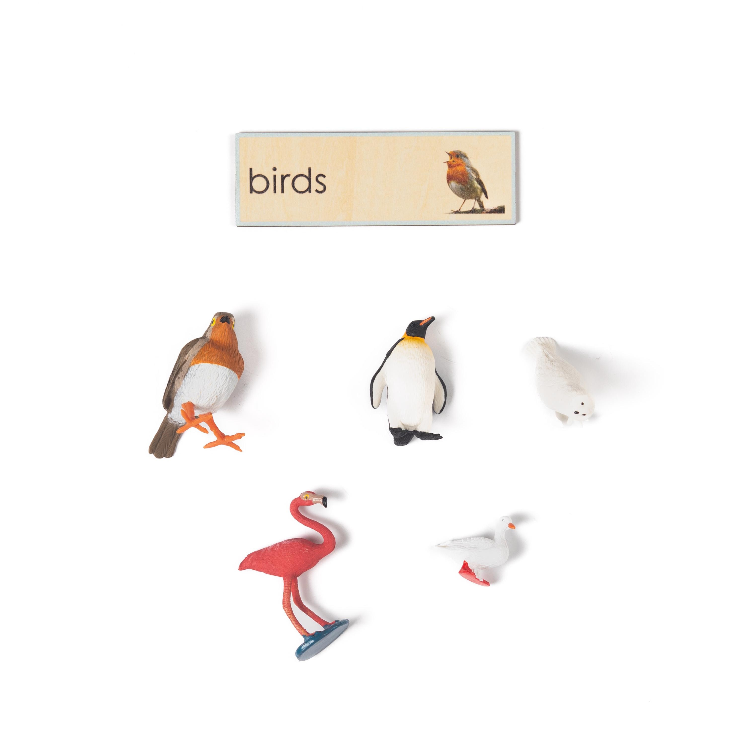 Montessori Five Classes of Vertebrates Classification Set - Zoology ...