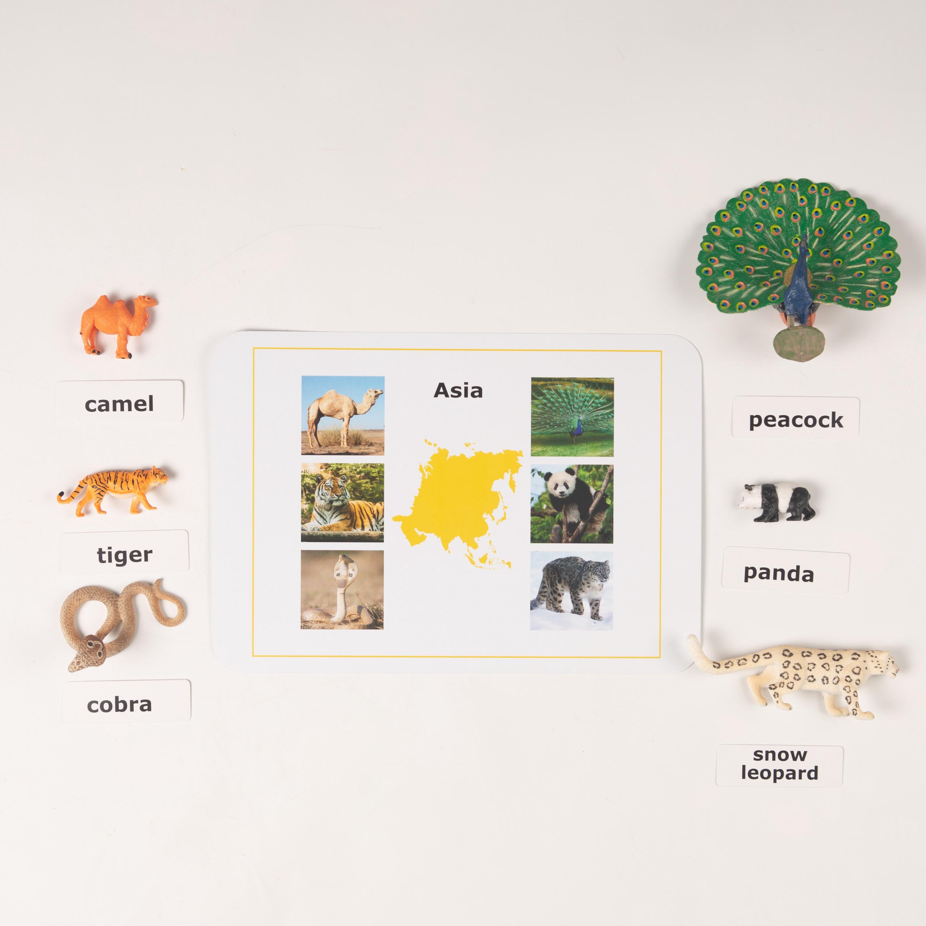 Montessori Animals of the Seven Continents - Culture and Geography ...