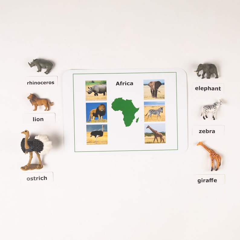 Montessori Animals of the Seven Continents - Culture and Geography ...