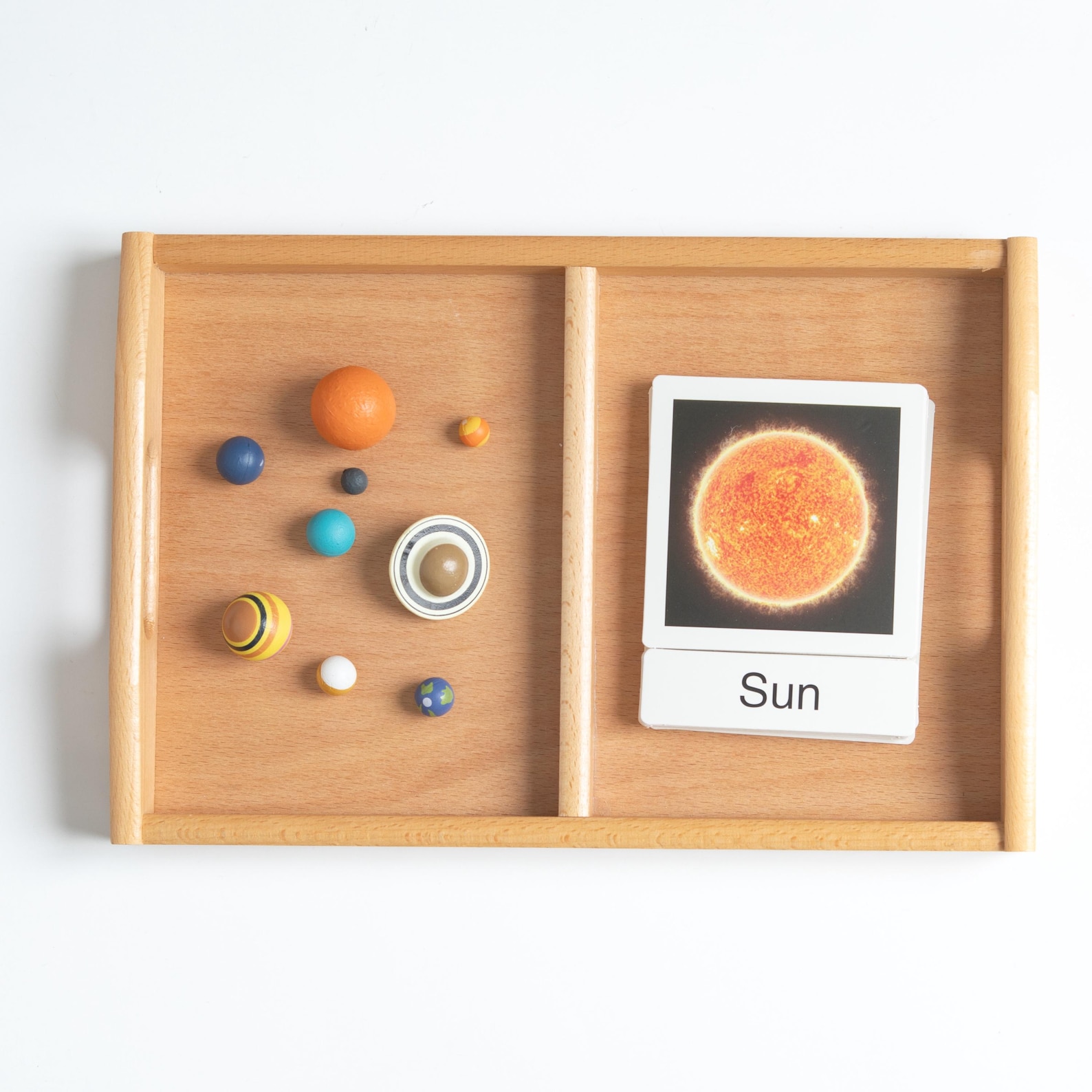Montessori Classification Set – 3-part Nomenclature Cards (classified ...