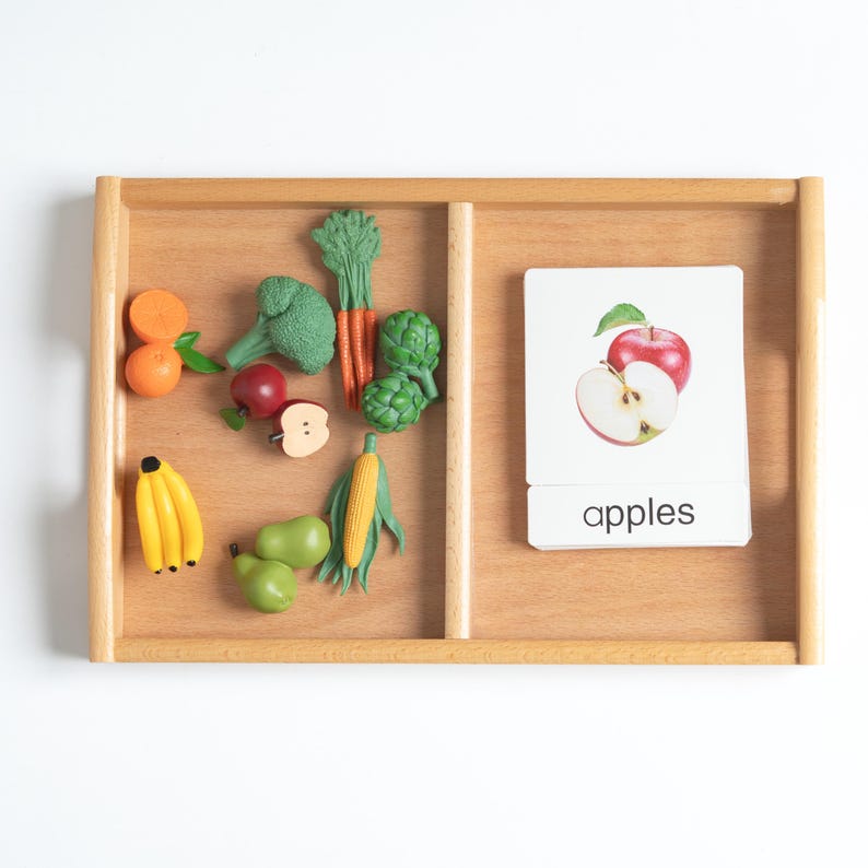Montessori Classification Set – 3-part Nomenclature Cards (classified ...