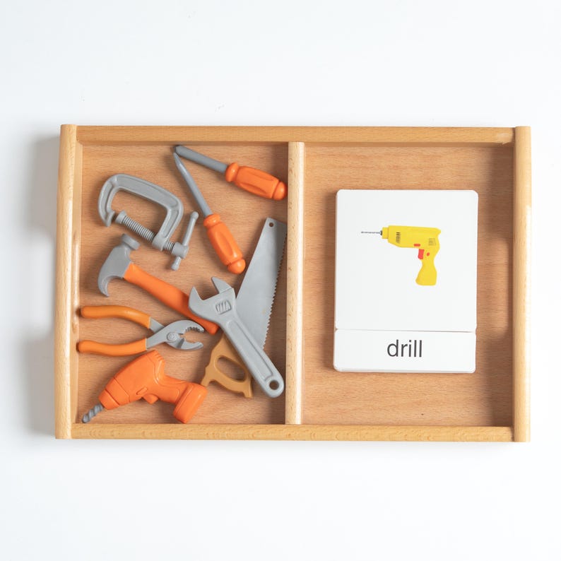 Montessori Classification Set – 3-part Nomenclature Cards (classified ...