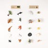 Freshwater Vs Saltwater Cut and Paste Worksheet - Etsy