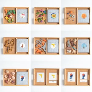 Montessori Classification Set – 3-part Nomenclature Cards (classified ...