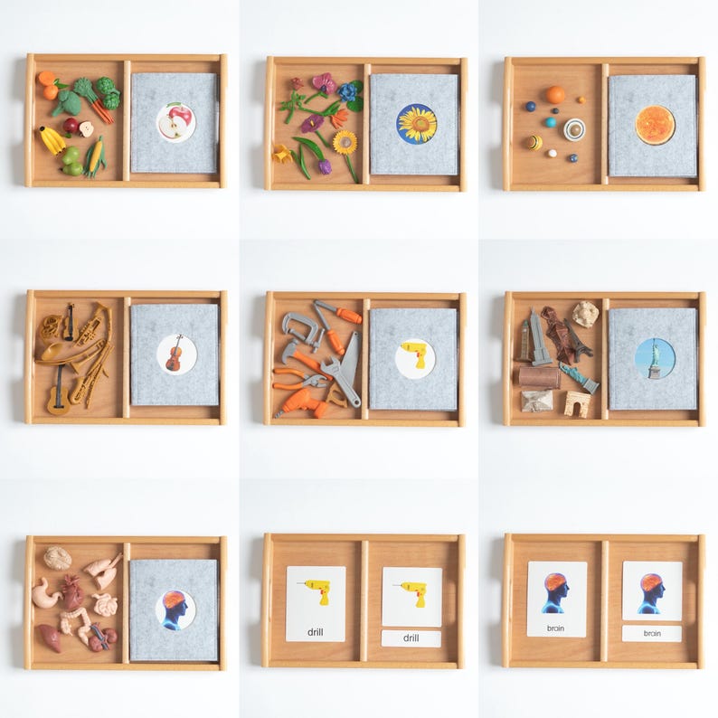 Montessori Classification Set – 3-part Nomenclature Cards (classified ...