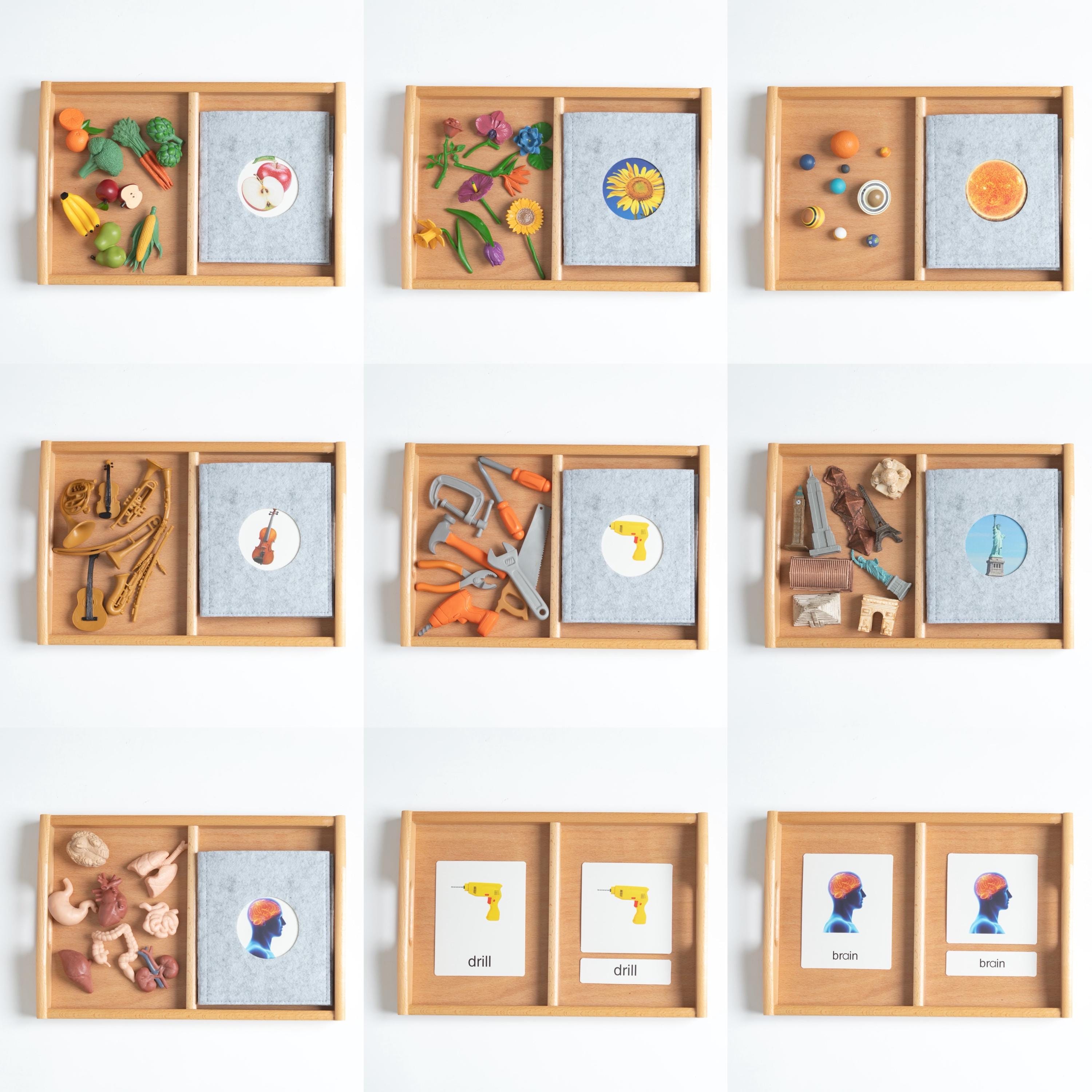 Montessori Classification Set – 3-part Nomenclature Cards (classified ...