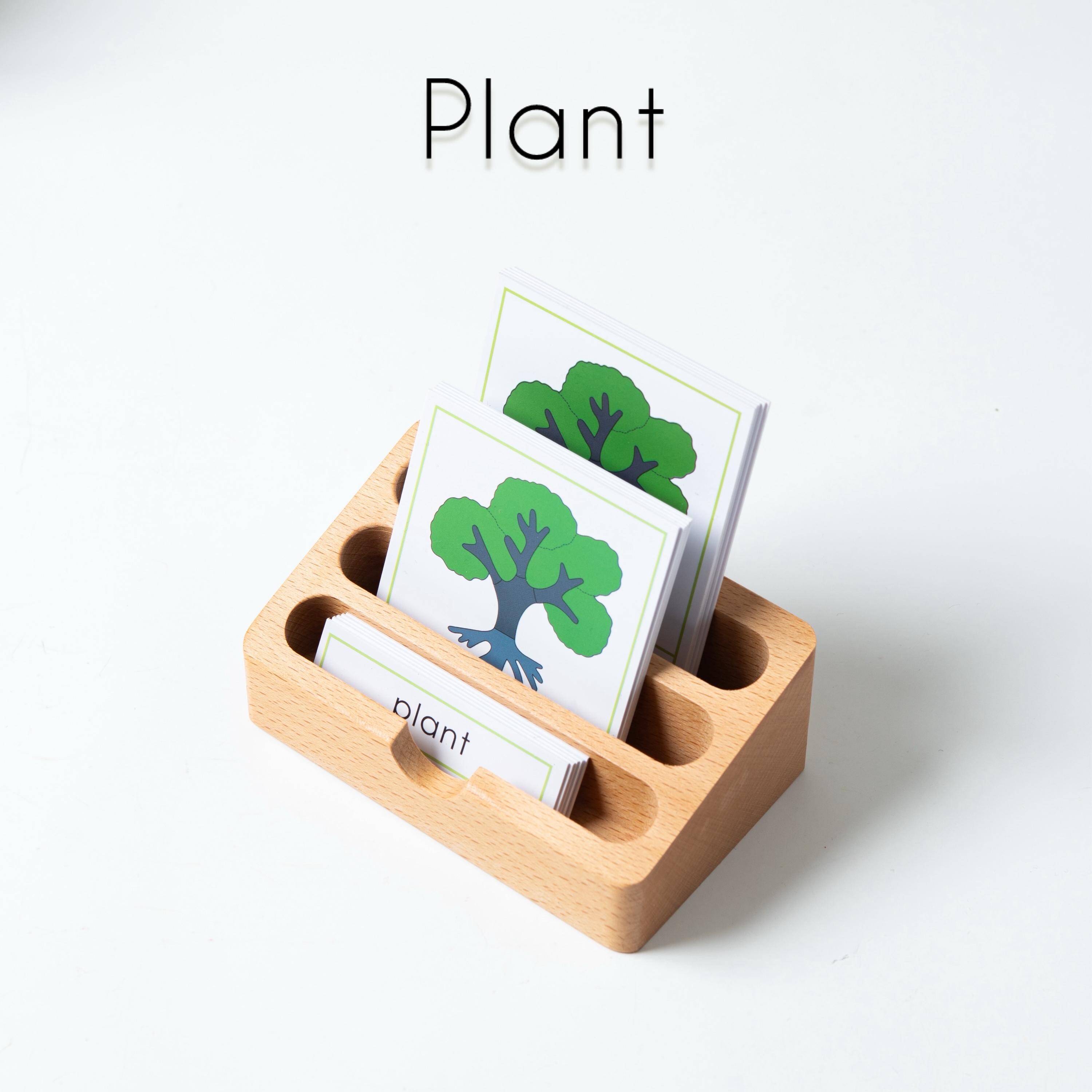 Montessori Botany Zoology Cards | 3-part Nomenclature Set - Etsy
