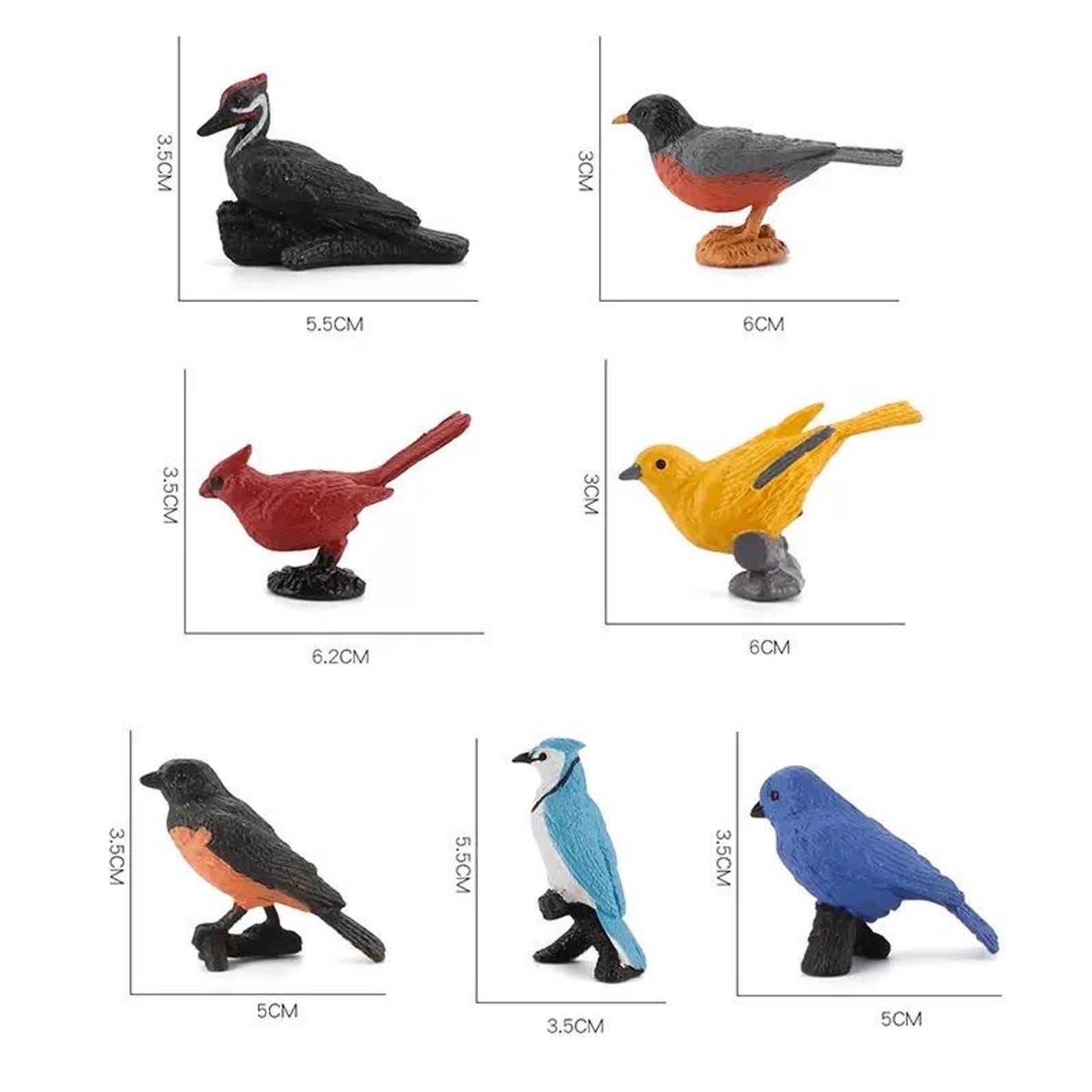 Backyard Birds Sorting Activity for Toddlers - Montessori Animals ...