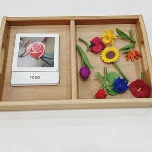 Montessori Classification Set – 3-part Nomenclature Cards (classified ...