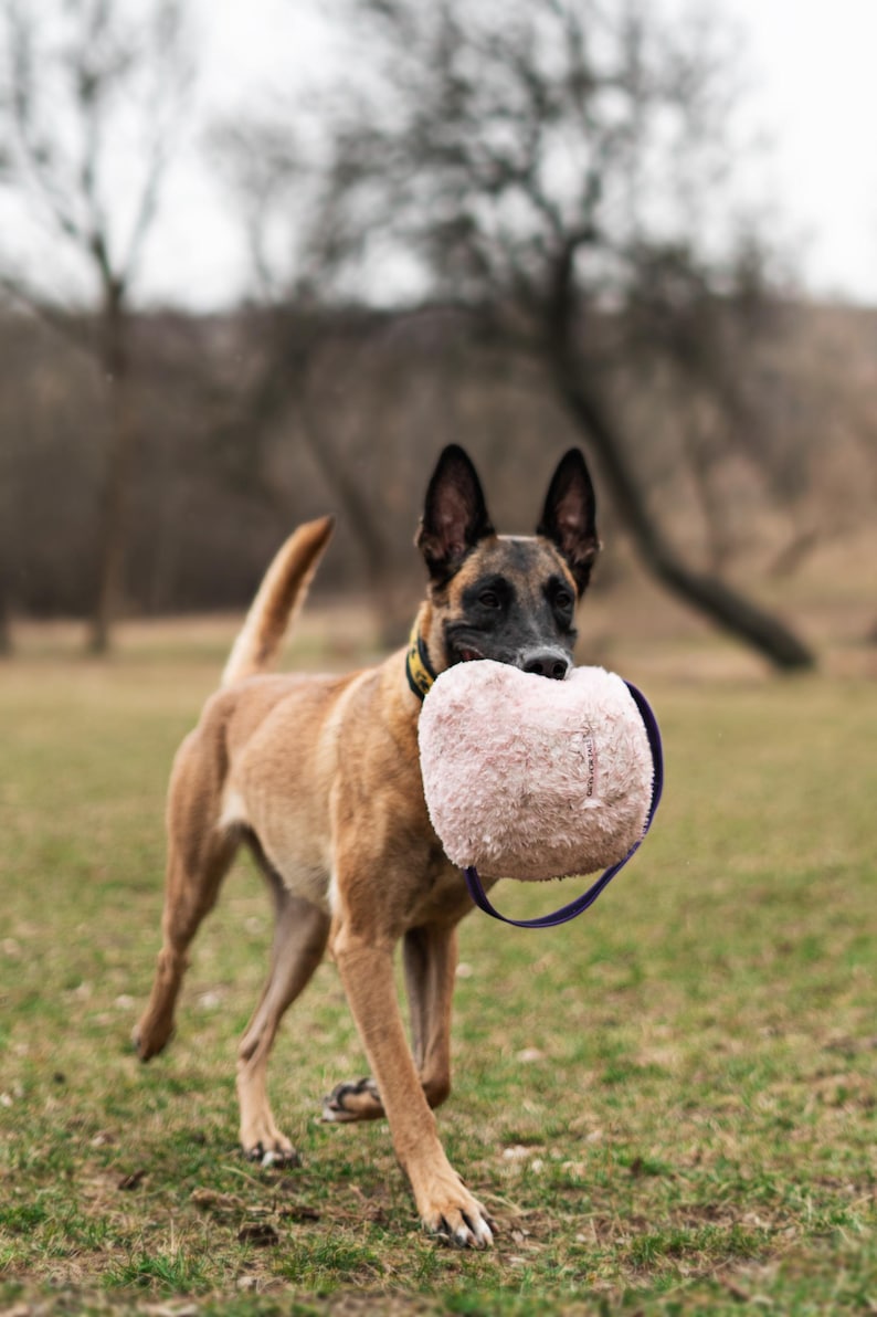 Large Fluffy Ball for Dogs | Durable Plush Toy for Training, IGP ...