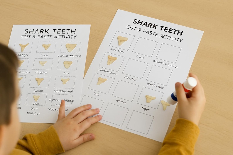 All About Shark Teeth Unit! Identification Chart & Worksheets Digital ...