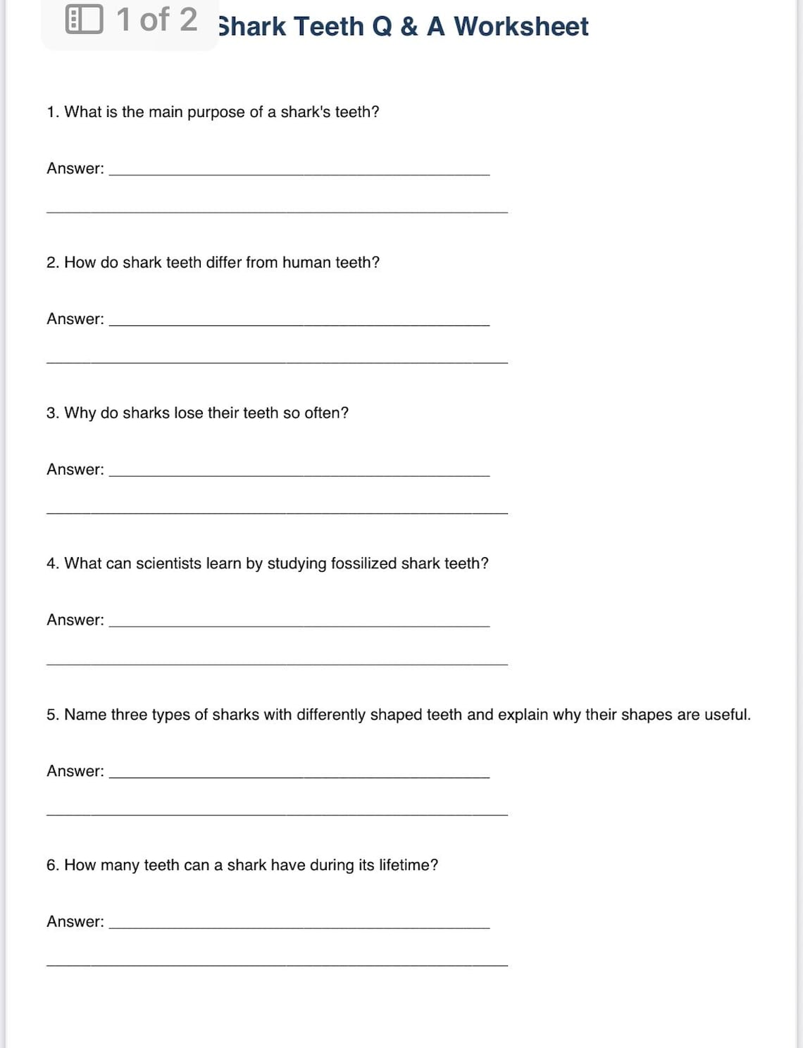 All About Shark Teeth Unit! Identification Chart & Worksheets Digital ...