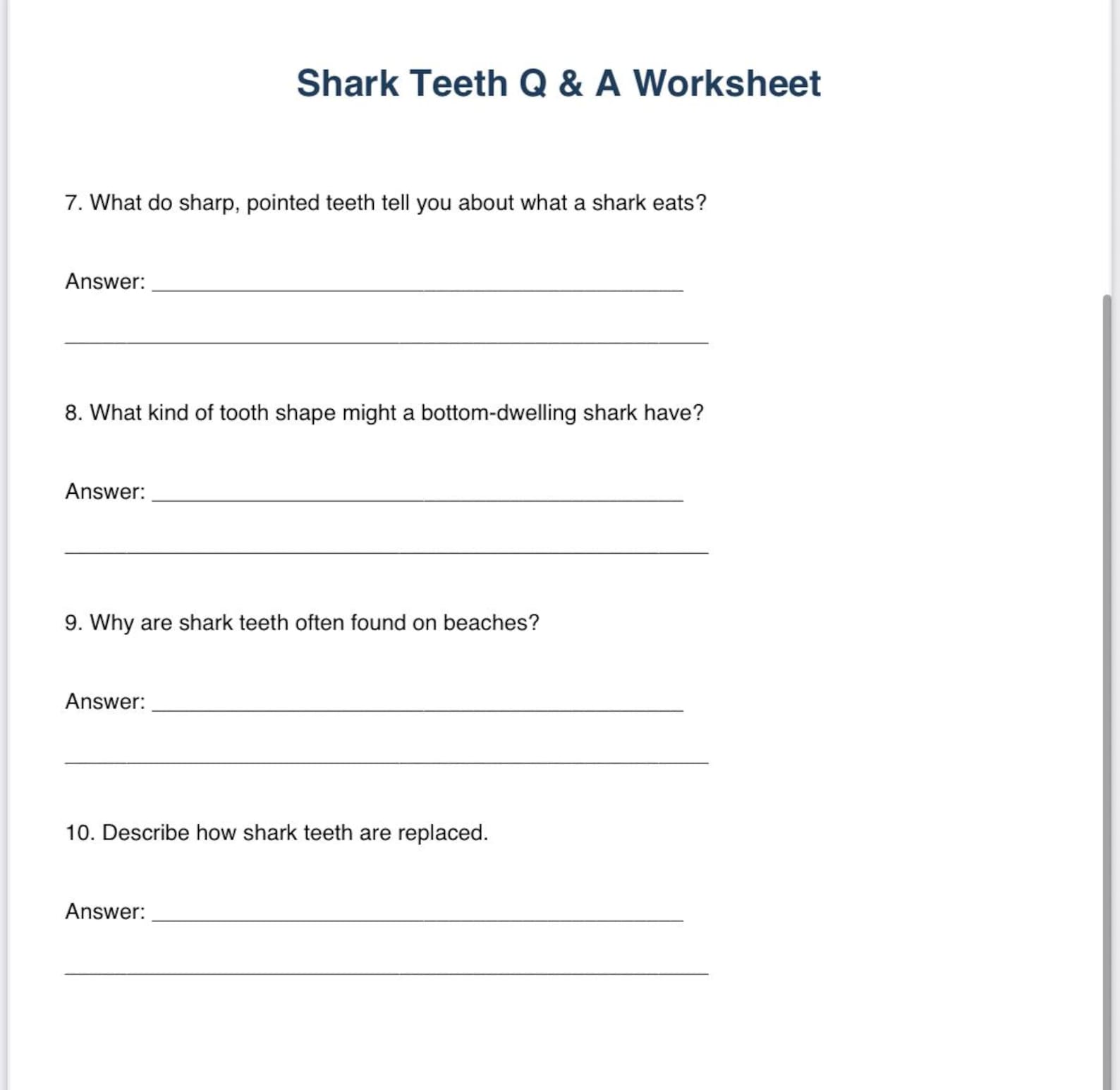 All About Shark Teeth Unit! Identification Chart & Worksheets Digital ...