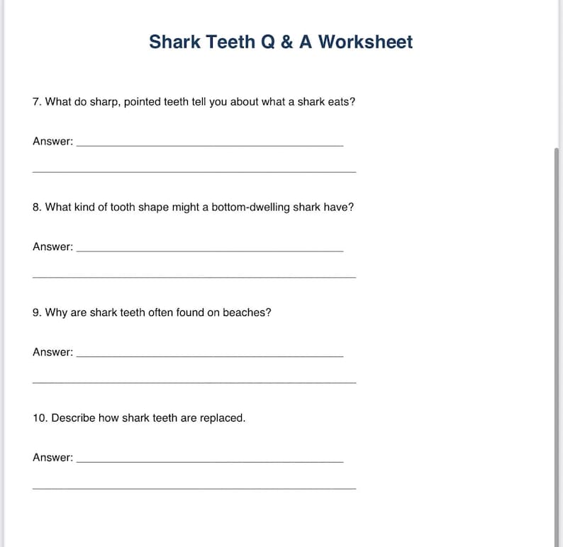 All About Shark Teeth Unit! Identification Chart & Worksheets Digital ...