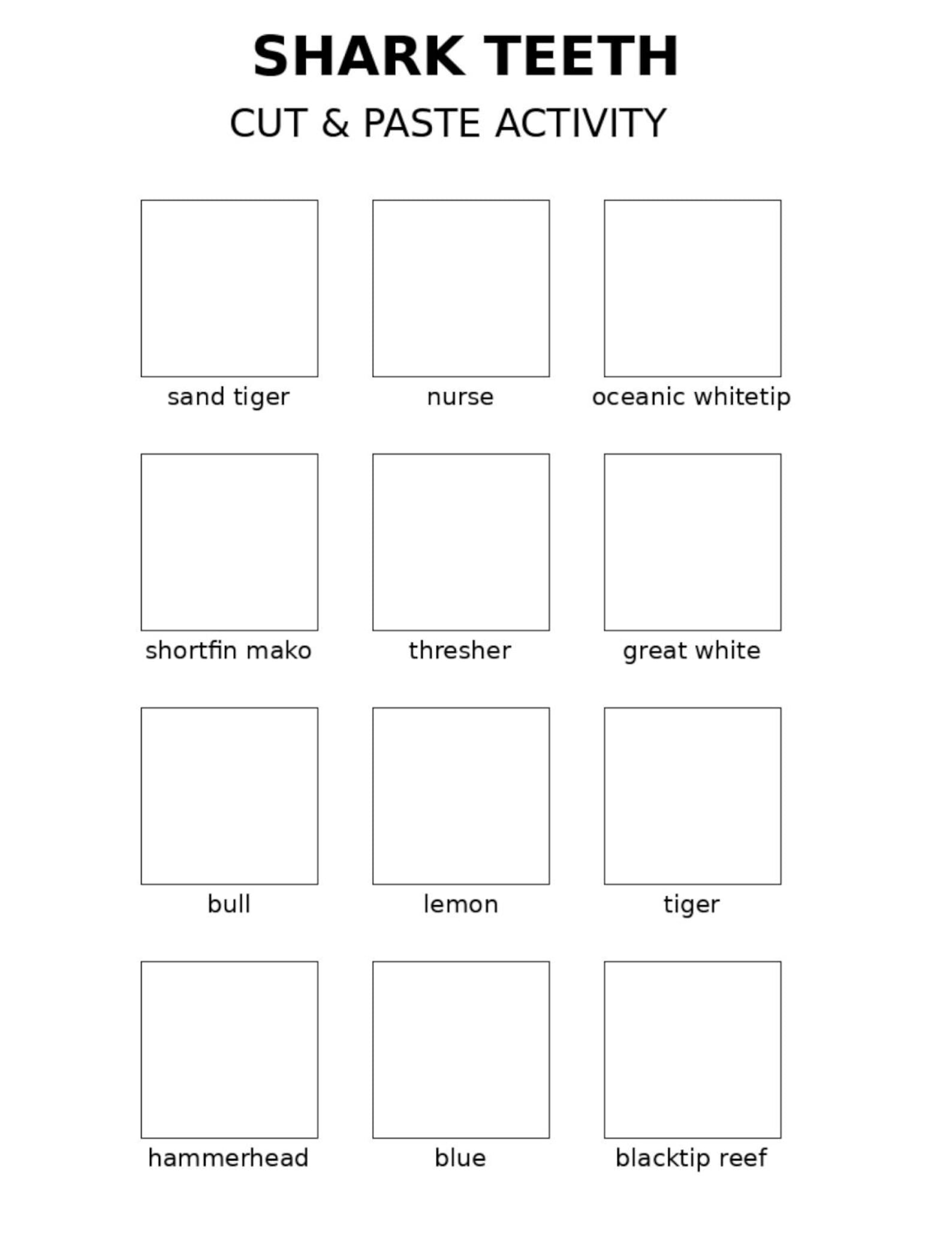 All About Shark Teeth Unit! Identification Chart & Worksheets Digital ...